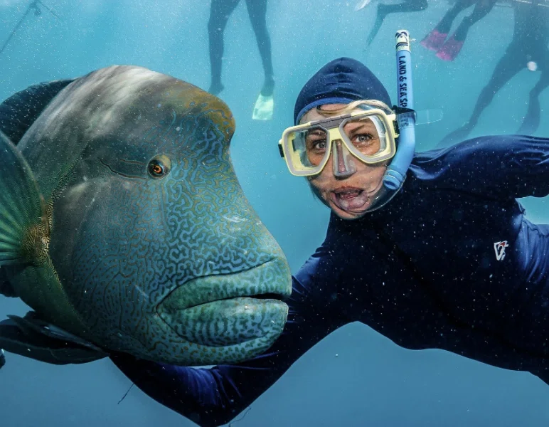 Best Diving & Snorkeling Spots in East Java